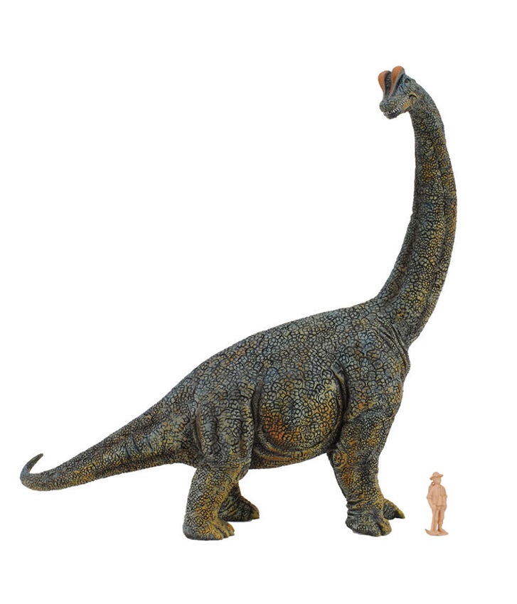 COLLECTA - DINOS - 1:40 Brachiosaurus, 88405